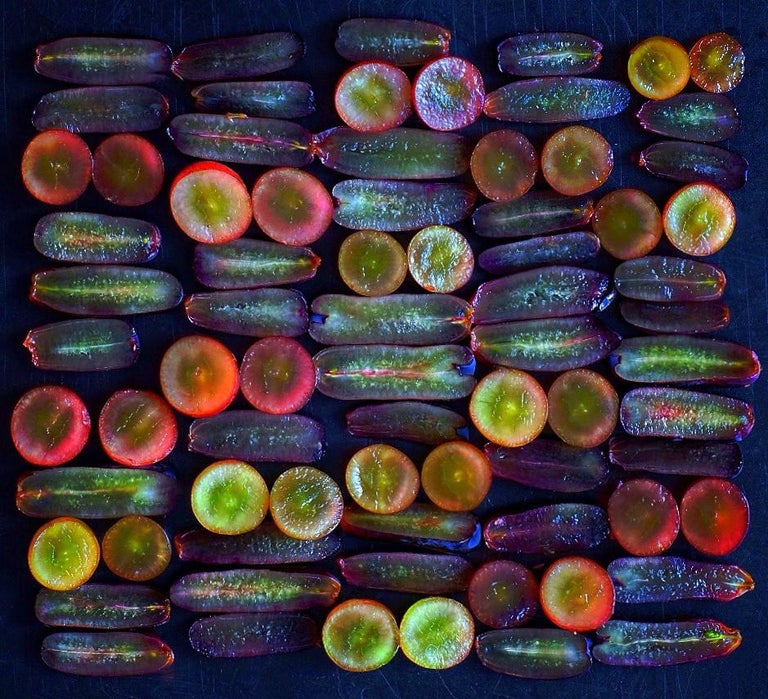 Sarah Phillips - Just Grapes, iridescent, patterned absurdist staged ...