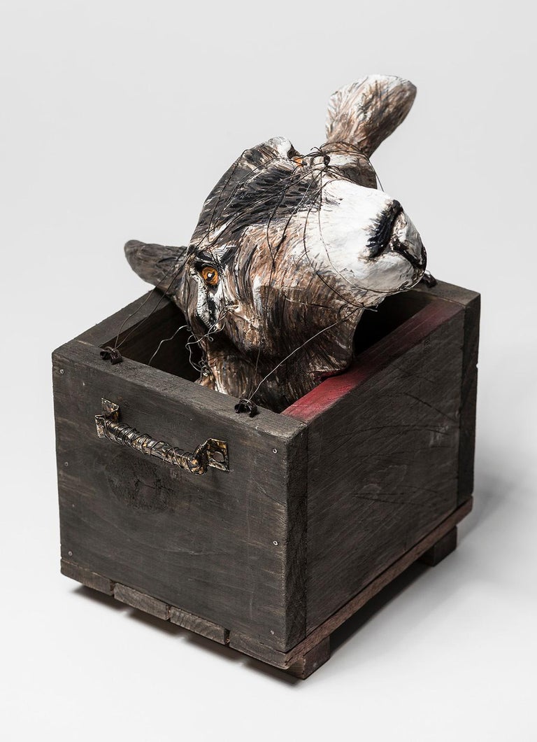 Elizabeth Jordan - Goat Head sculpture in Wood box: ''Jersey Devil II ...