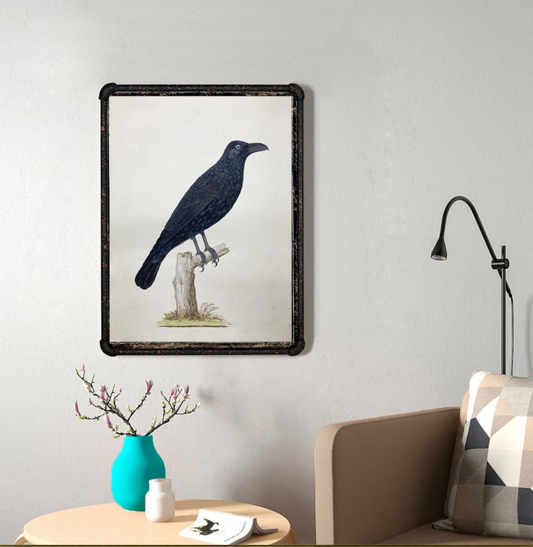 Peter Paillou - Animal drawing of sitting crow in black by enlightened ...