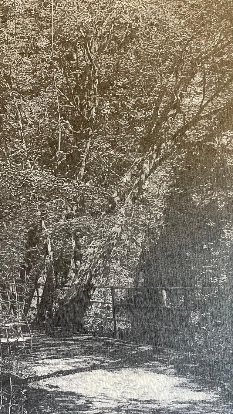 Sara Menon - Fine drawing of a sunlit staircase on a lonely forest path ...