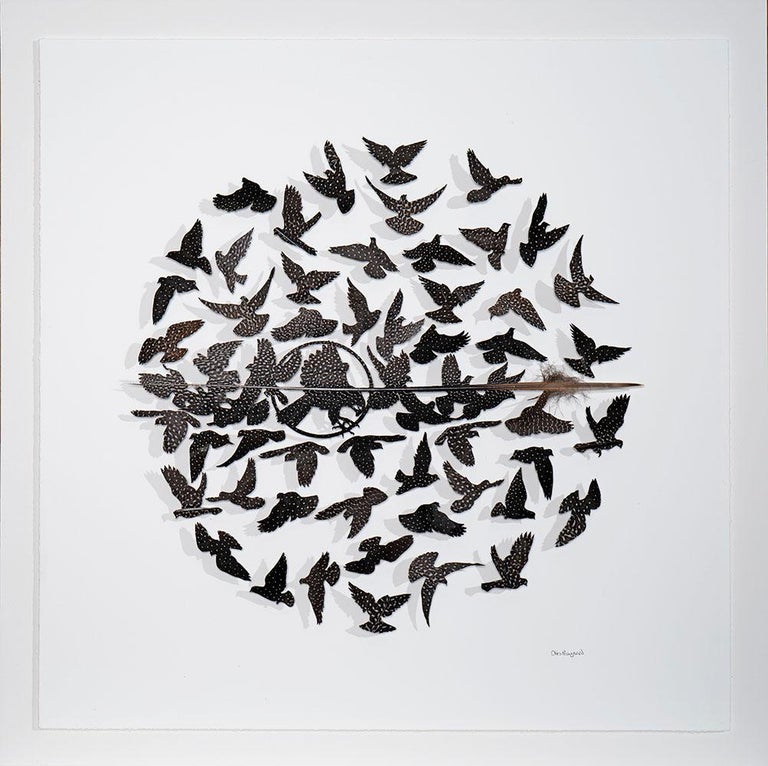 Chris Maynard - City Bird Scene - black and white bird feather 3D wall ...
