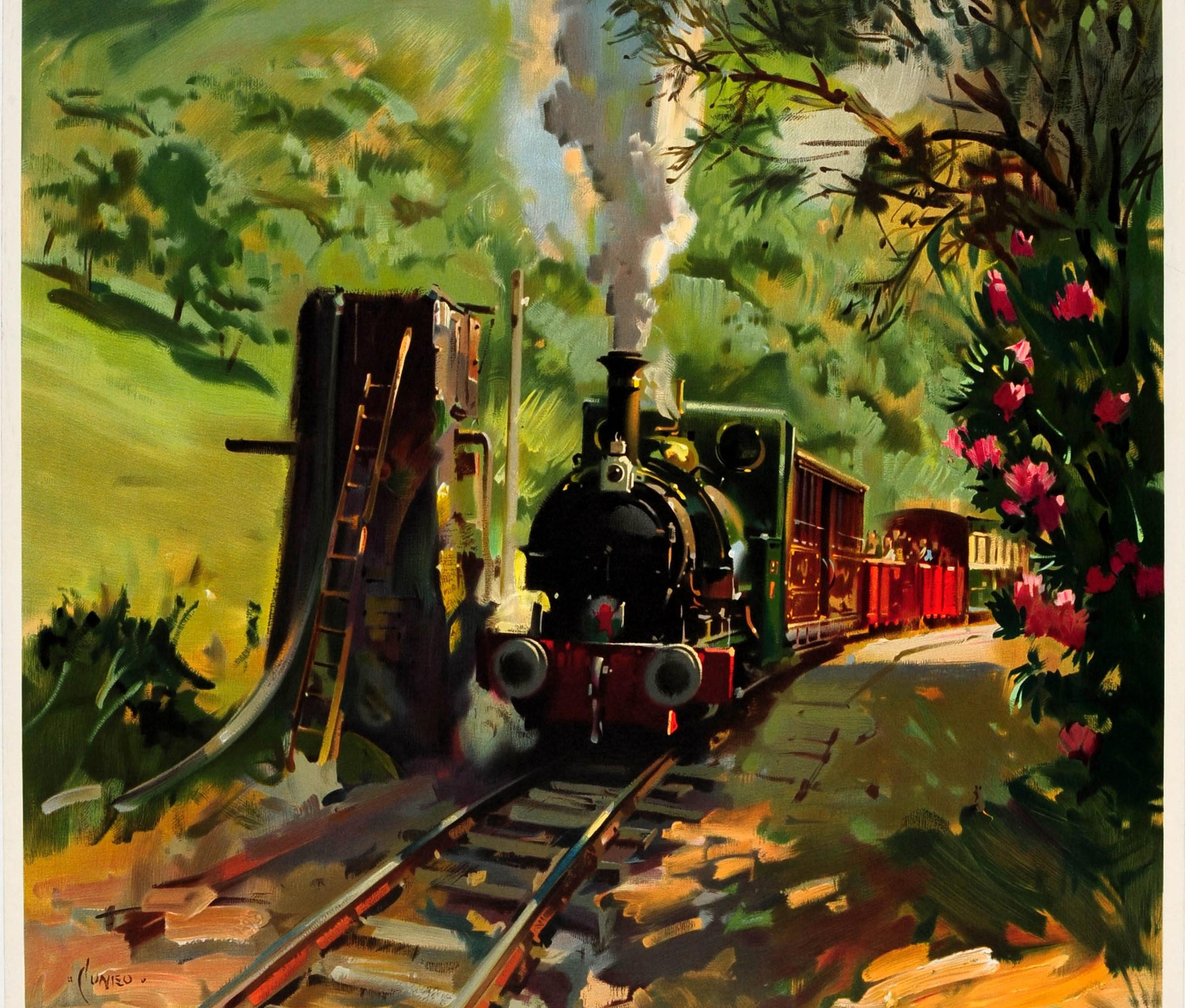Terence Tenison Cuneo - Original Vintage Steam Train Poster Dolgoch ...
