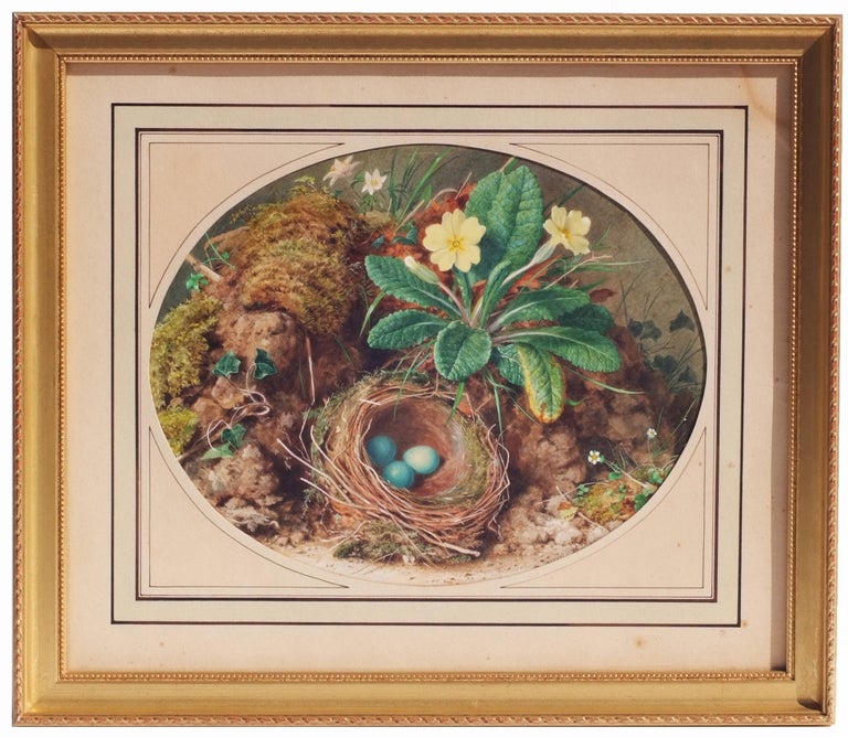 William Cruikshank - Paire of 19th century still Life For Sale at ...