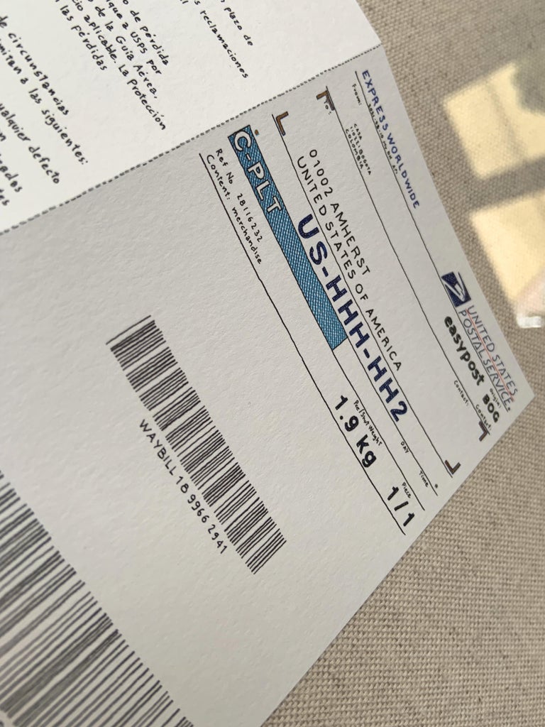 Rodrigo Spinel - GUIA USPS. One of a Kind (Framed) For Sale at 1stDibs