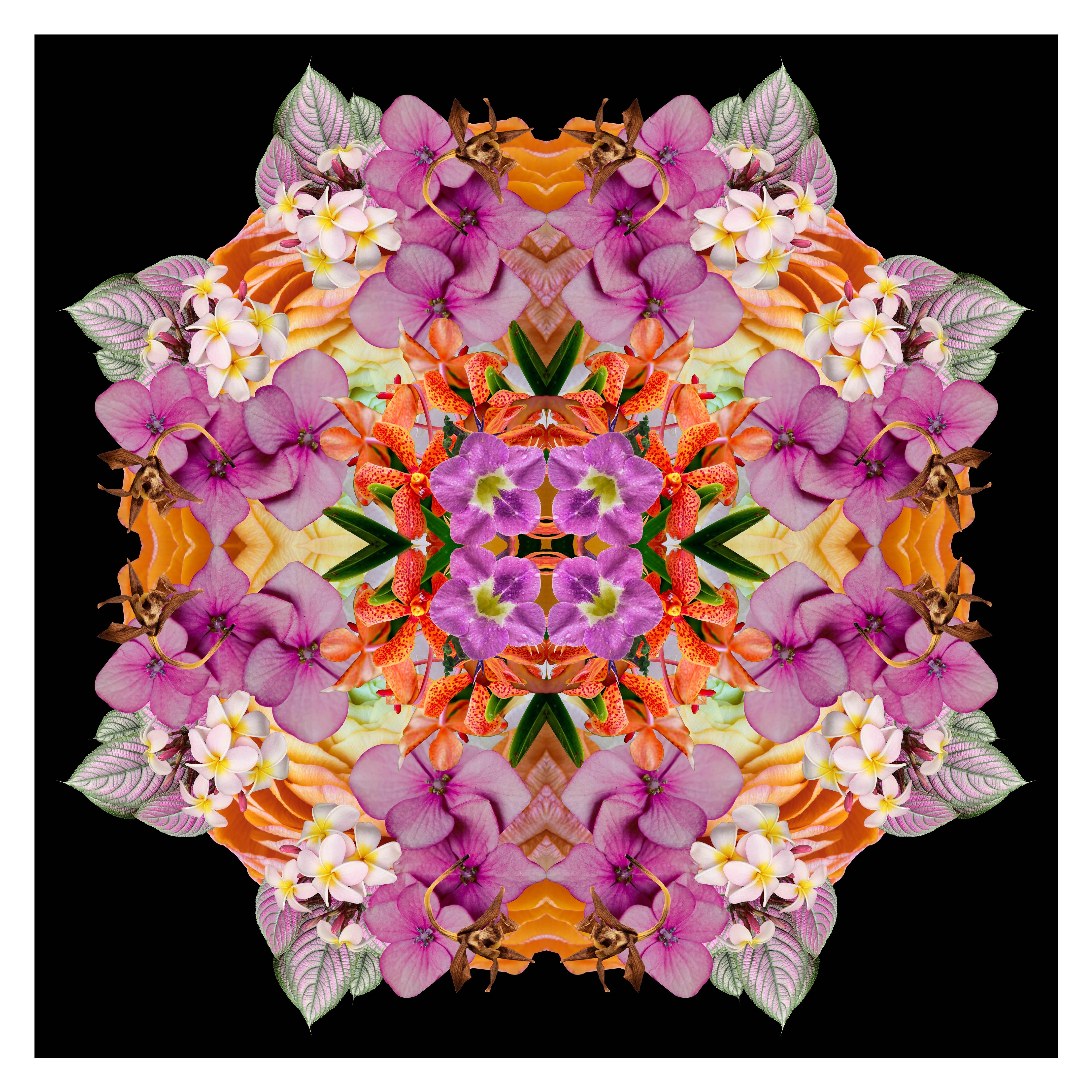 Emma Anna Abstract Photography - 47 For Sale at 1stDibs