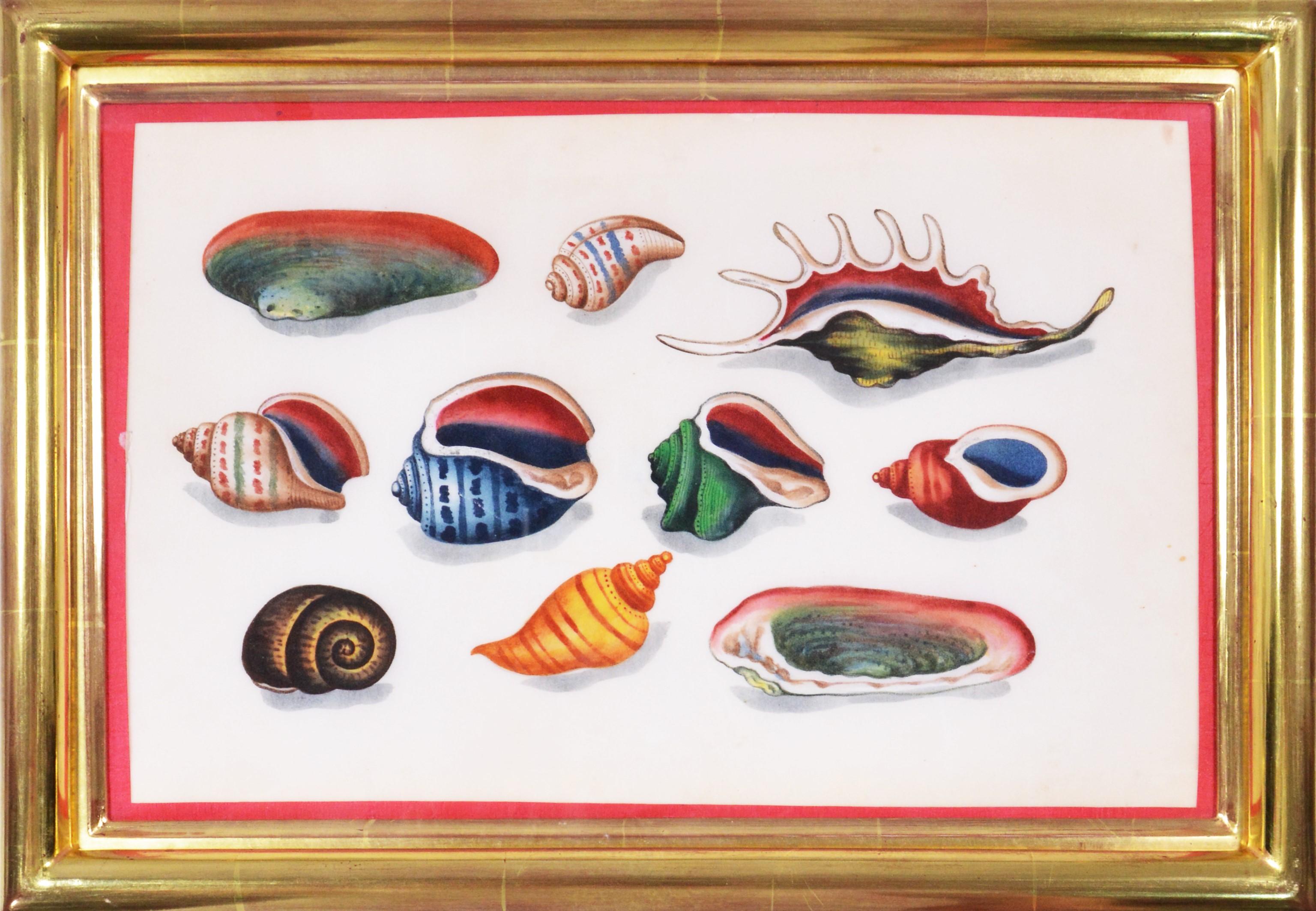 Unknown - Chinese Export Watercolours on Pith Paper, set of twelve ...