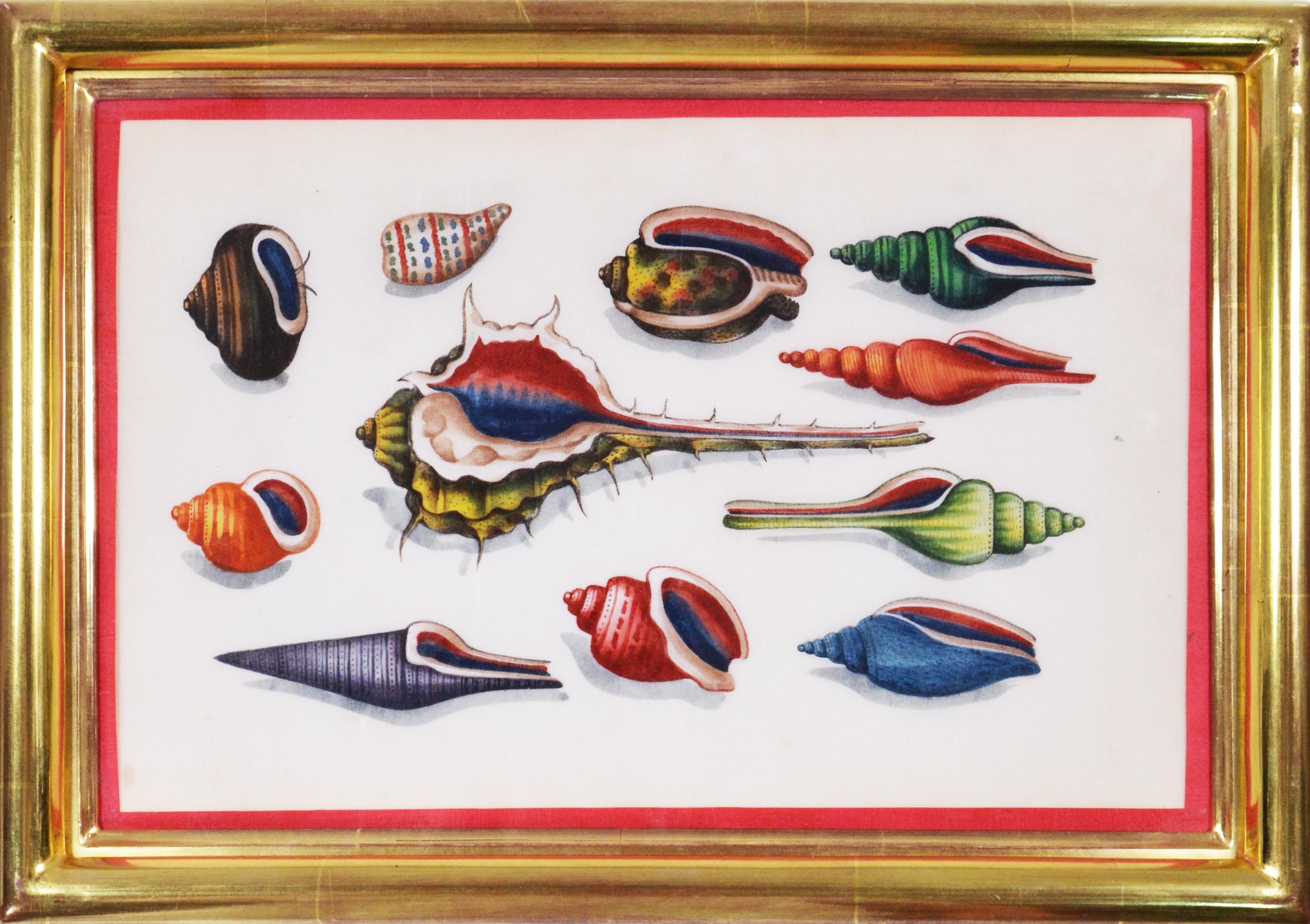 Unknown - Chinese Export Watercolours on Pith Paper, set of twelve ...