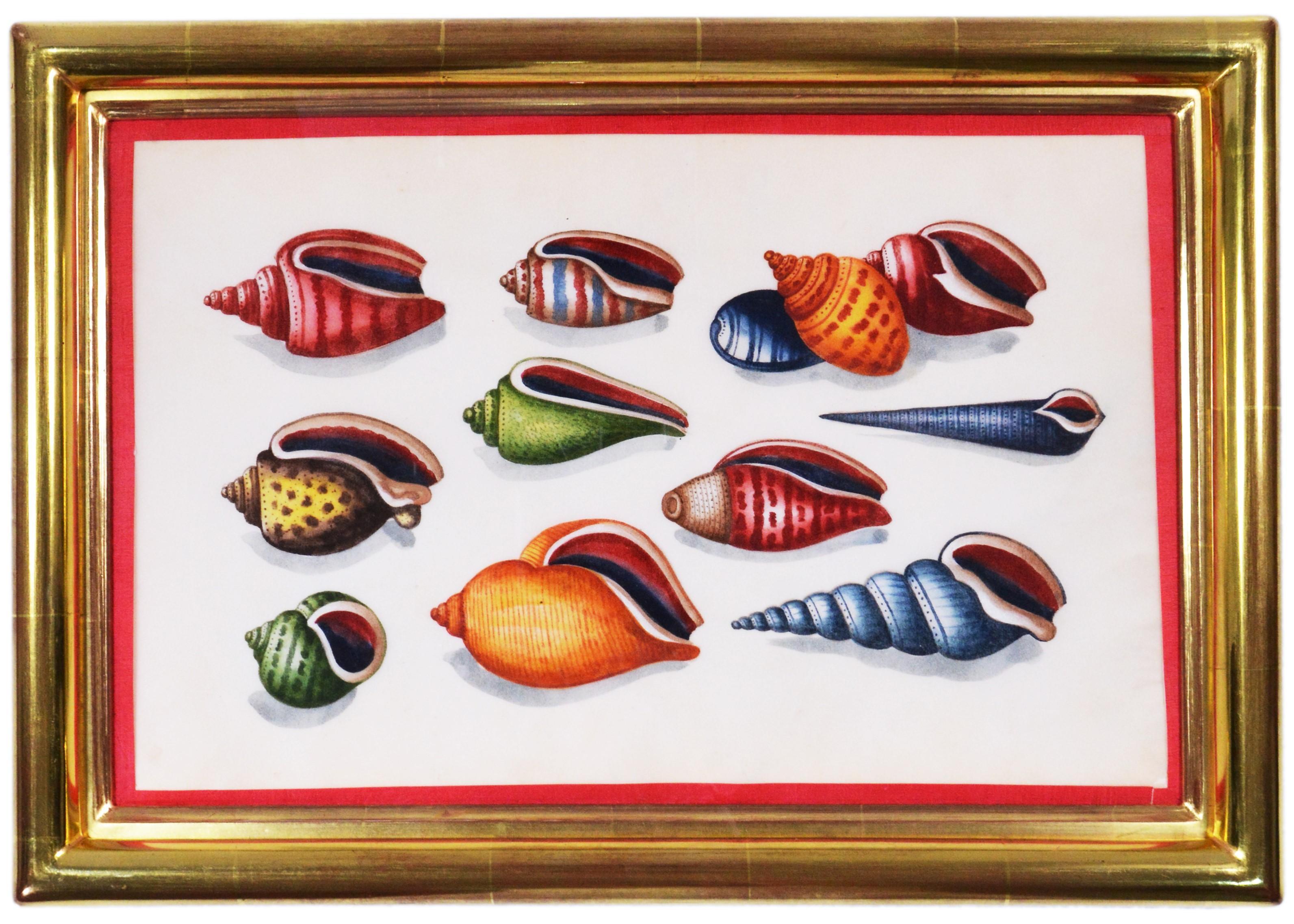Unknown - Chinese Export Watercolours on Pith Paper, set of twelve ...