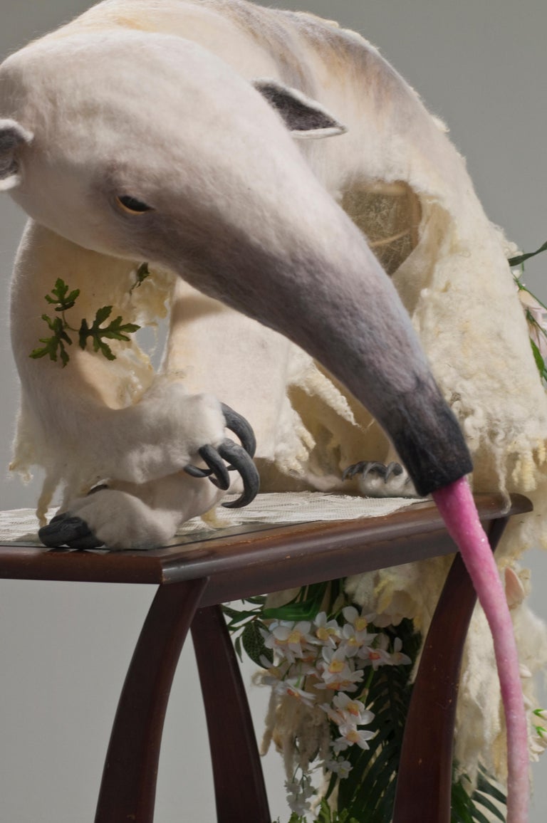 Emily Jan - Apologue I: Anteater For Sale at 1stDibs