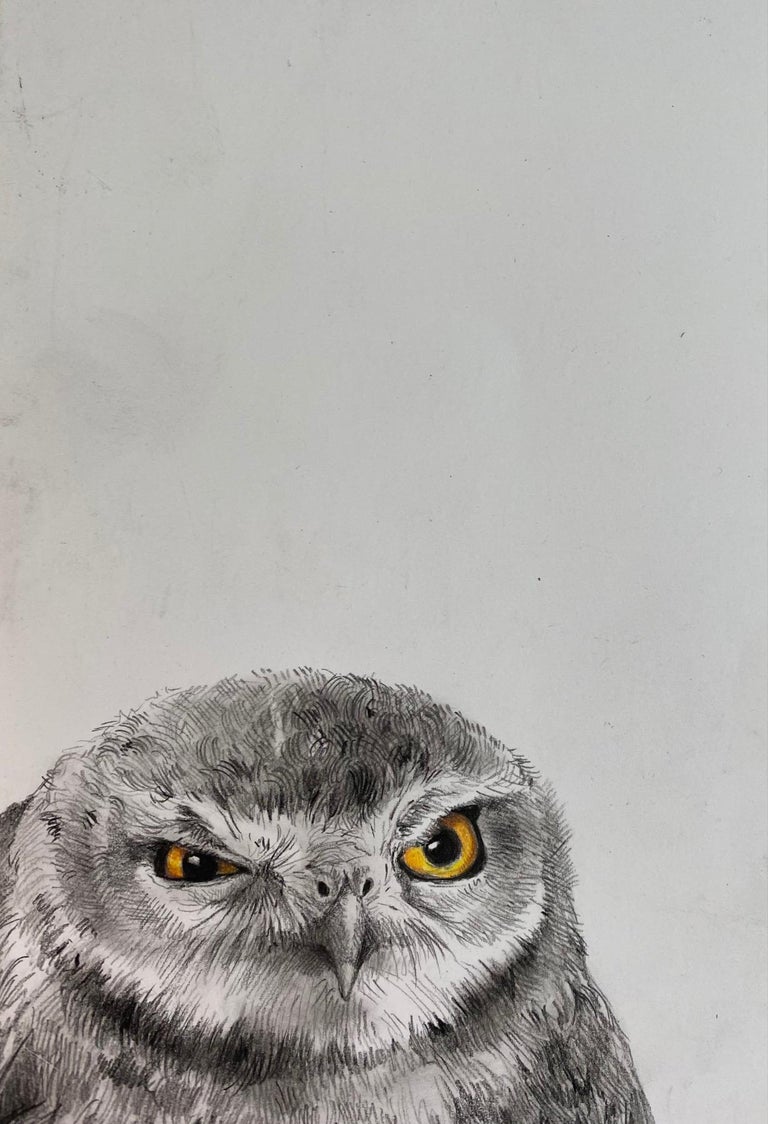 Adonna Khare - Squinting Owl at 1stDibs