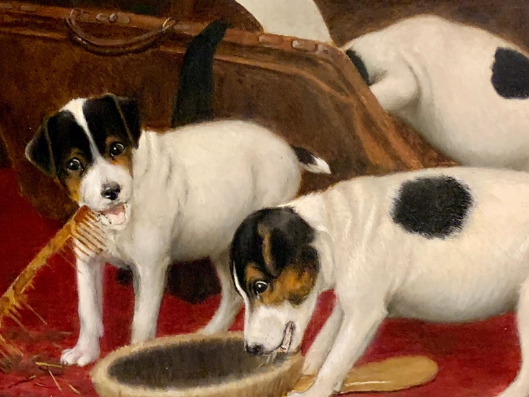Bernard Cobbe - English interior of Jack Russell puppy dogs playing ...