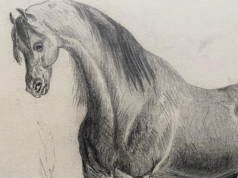 Fine Early 19th Century Classical Horse Study For Sale at 1stDibs