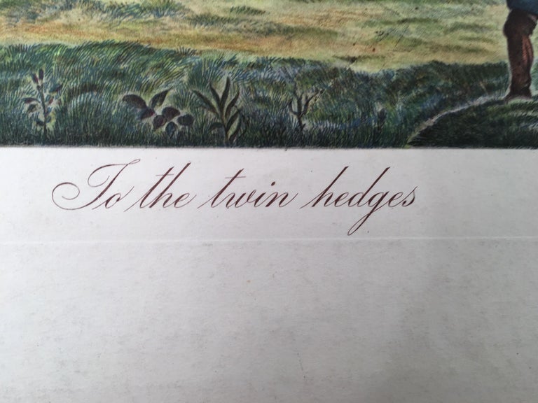 Henry Aiken - Oops!, the Twin Hedges... For Sale at 1stDibs