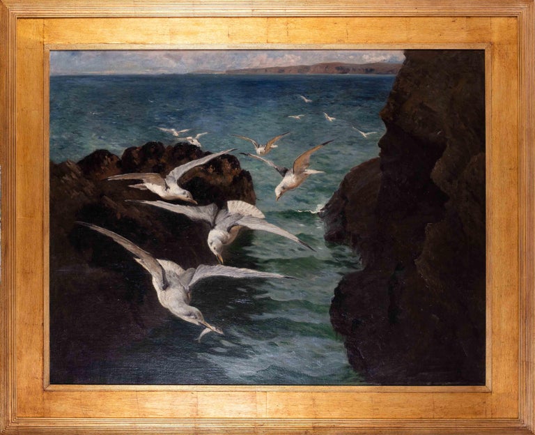 William Holt Yates Titcomb - Large oil paintings of Gulls at St. Ives ...