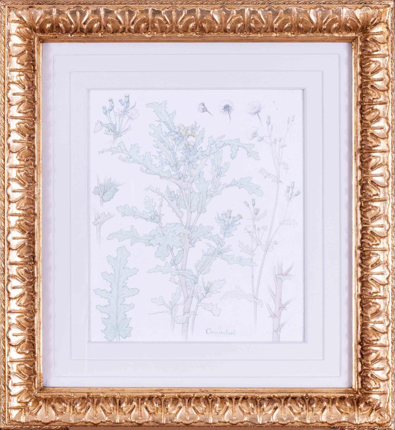 Edward Ridley - An early 20th Century design of thistles by Edward ...