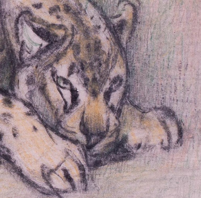 Elsie Marian Henderson - Crouching Leopard drawing by British 20th ...