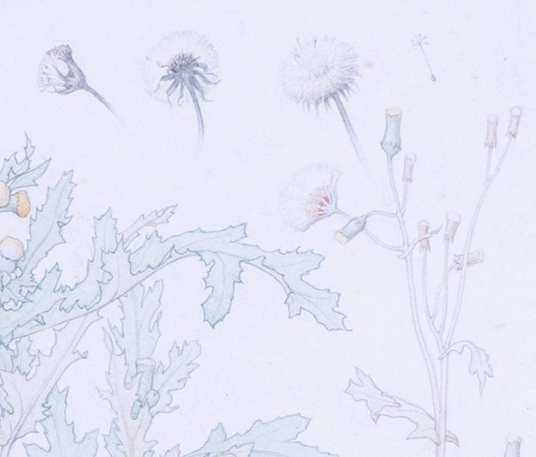 Edward Ridley - An early 20th Century design of thistles by Edward ...