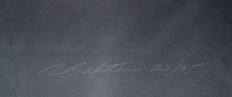 Robert Baxter - "Folding Linen III" - Limited Edition Lithograph, 20/75 ...