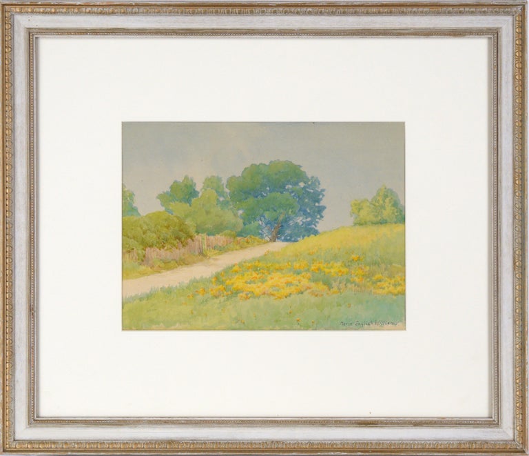 Marie English Williams - California Golden Poppies and Blue Oaks ...