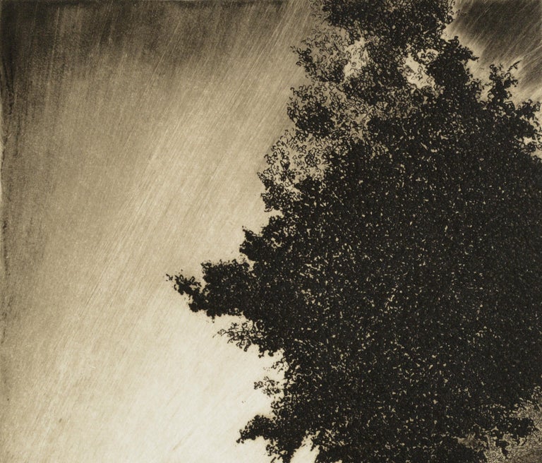 Jim Smyth - Dawn Breaking in the Field - Etching For Sale at 1stDibs ...