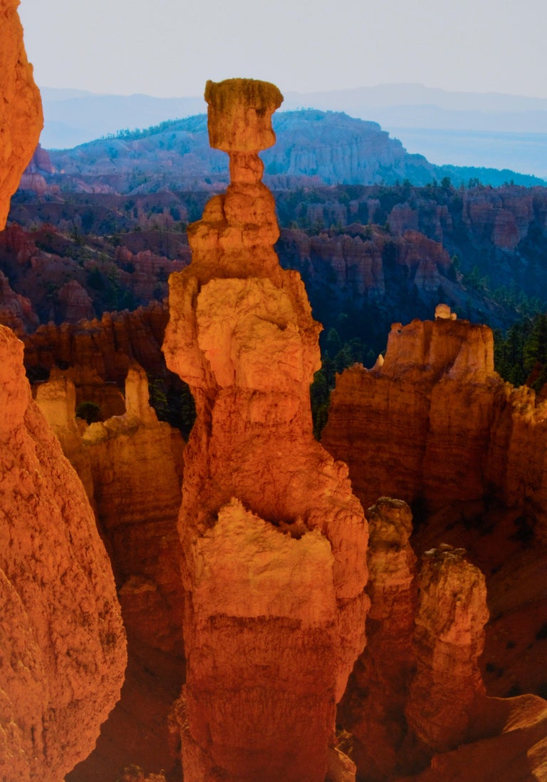 David Benitez - Bryce Canyon National Park, Desert Red Rocks Landscape ...