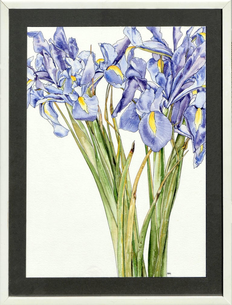 Deborah Eddy - Iris Escaping - Botanical Study For Sale at 1stDibs