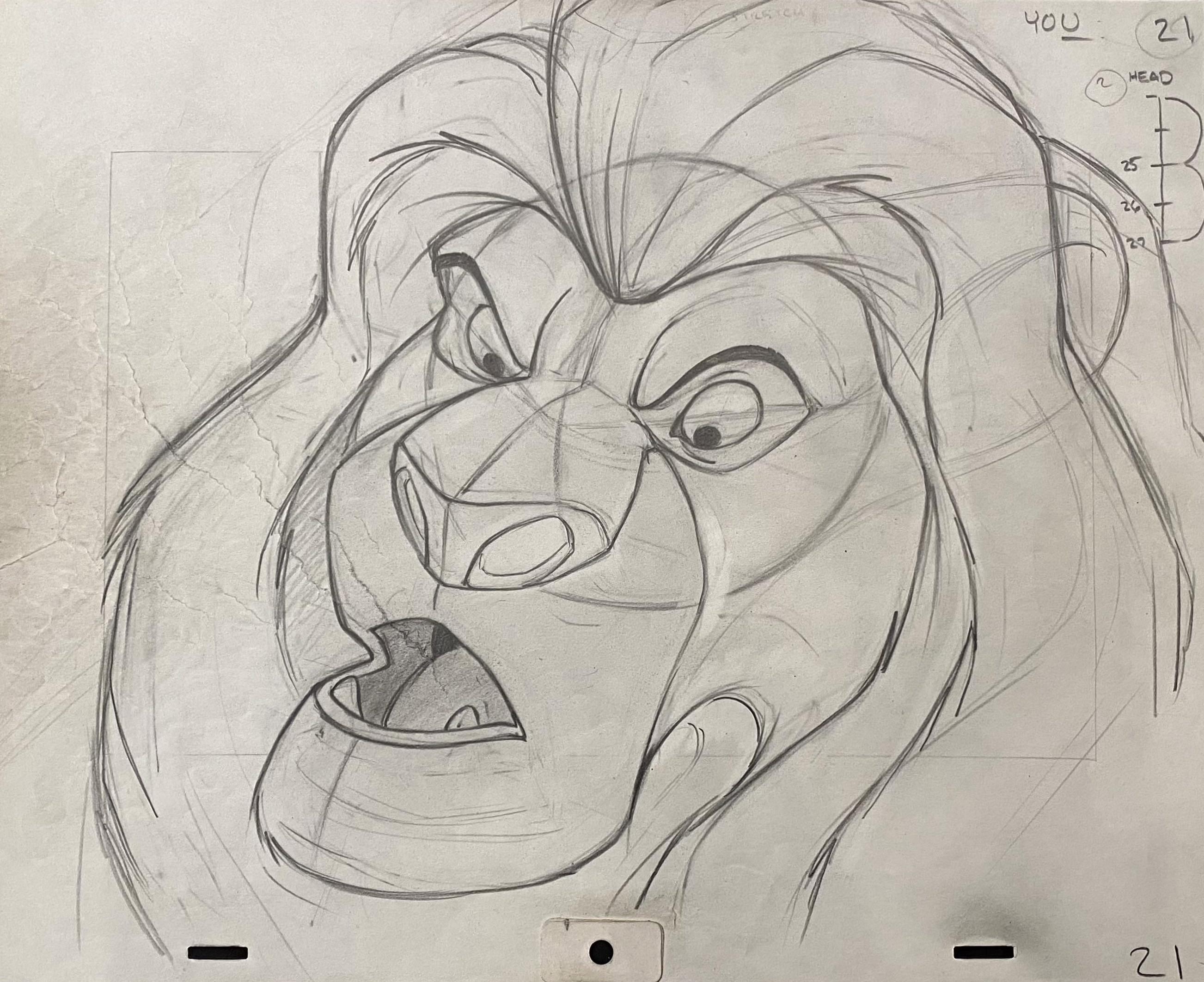 Lion King Mufasa Drawing