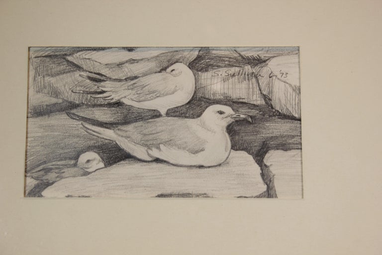Stella Sullivan - Pencil Study of Seagulls For Sale at 1stDibs | stella ...