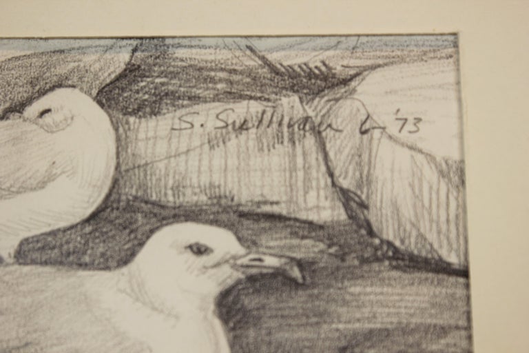Stella Sullivan - Pencil Study of Seagulls For Sale at 1stDibs | stella ...