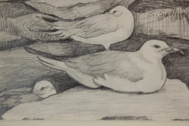 Stella Sullivan - Pencil Study of Seagulls For Sale at 1stDibs | stella ...