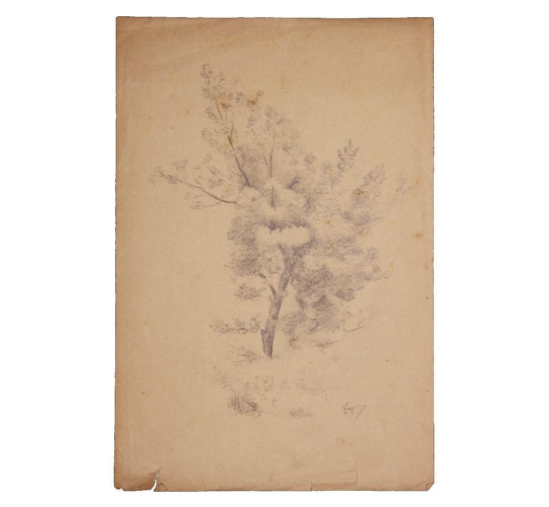 theodor-mayerhofer-antique-landscape-pencil-drawing-1925-at-1stdibs