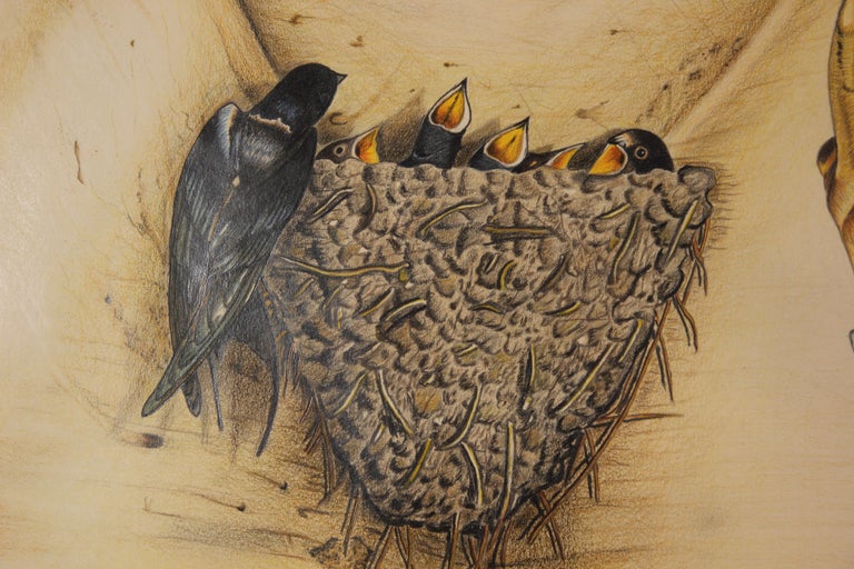 Hugo Laborice - "Villa Scorpis" Surrealist Figurative with Birds For ...