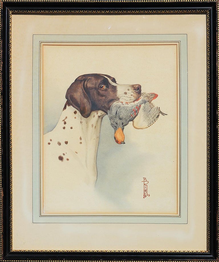 Boris Riab - Naturalistic Irish Springer Spaniel Hunting Pointer Dog ...