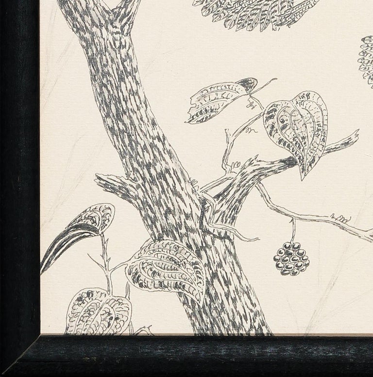 Unknown - Naturalistic Pen and Ink Drawing of a Pair of Quail Birds in ...