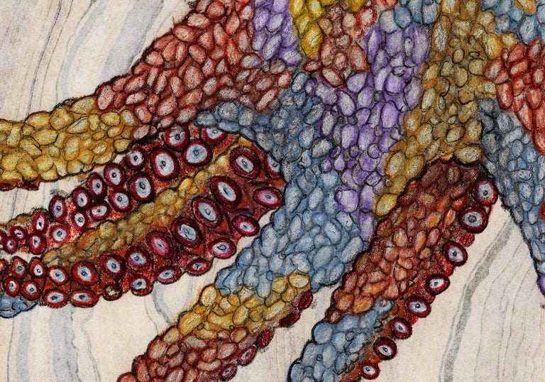 Jeff Conroy - Rainbow Sherbet - Gyotaku Style Sumi Ink Painting of a ...