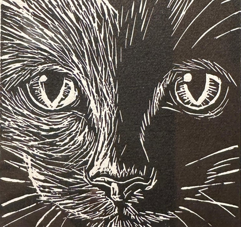 Juan Barragán - Isoscoles - Close Up of a Cat, Black and White Etching ...