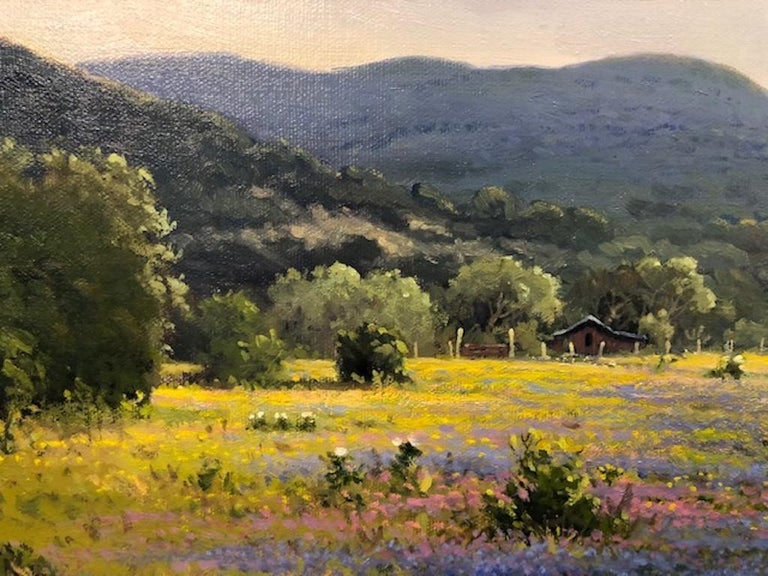 Jerry Ruthven - Evening Near Leakey, Texas at 1stDibs