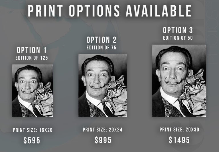 Roger Higgins - Salvador Dali with Babou the Ocelot Globe Photos Fine ...
