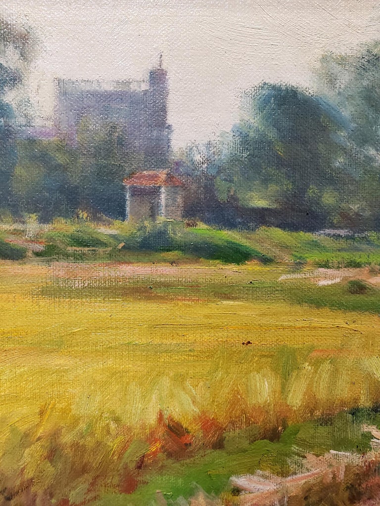 W. Jason Situ - Autumn Rice Fields For Sale at 1stDibs