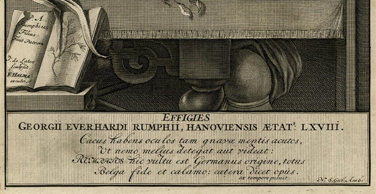 Jorg Eberhardt Rumph - Portrait from Ambonian Cabinet of Curiosities by ...