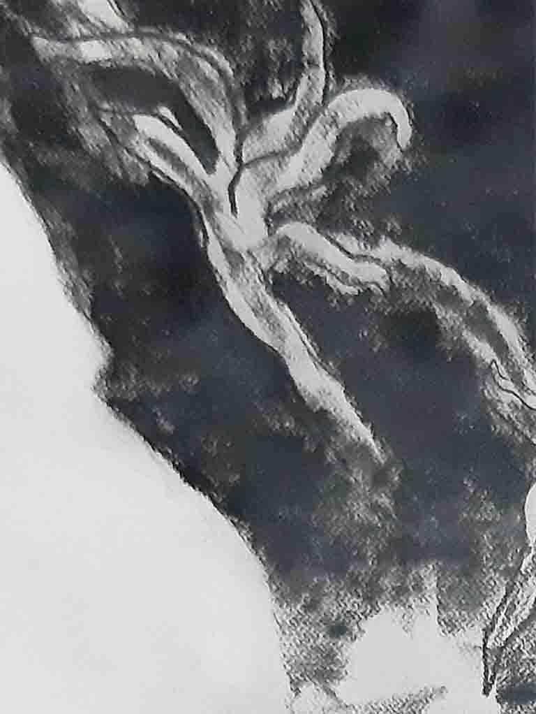 Debabrata Basu - Being one with Nature I, Charcoal on Paper Black and ...