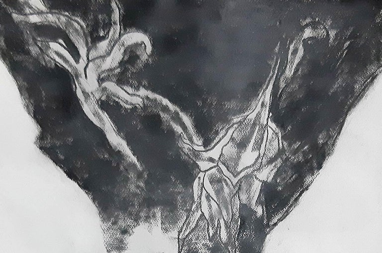 Debabrata Basu - Being one with Nature I, Charcoal on Paper Black and ...