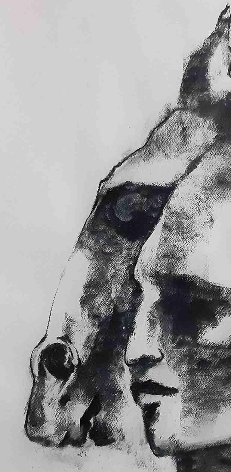 Debabrata Basu - Man and Horse, Charcoal Drawing, Black, White by ...