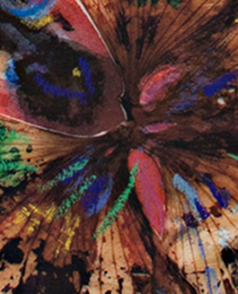 David Barnett - "Giant Hybrid Hibiscus Butterfly with Flower," Mixed ...