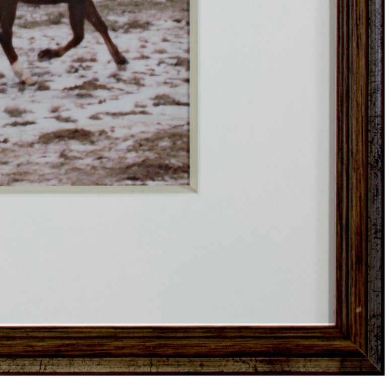 Jacob Obletz - 'Jacob's Horses, Ashland, WI' original photograph by ...