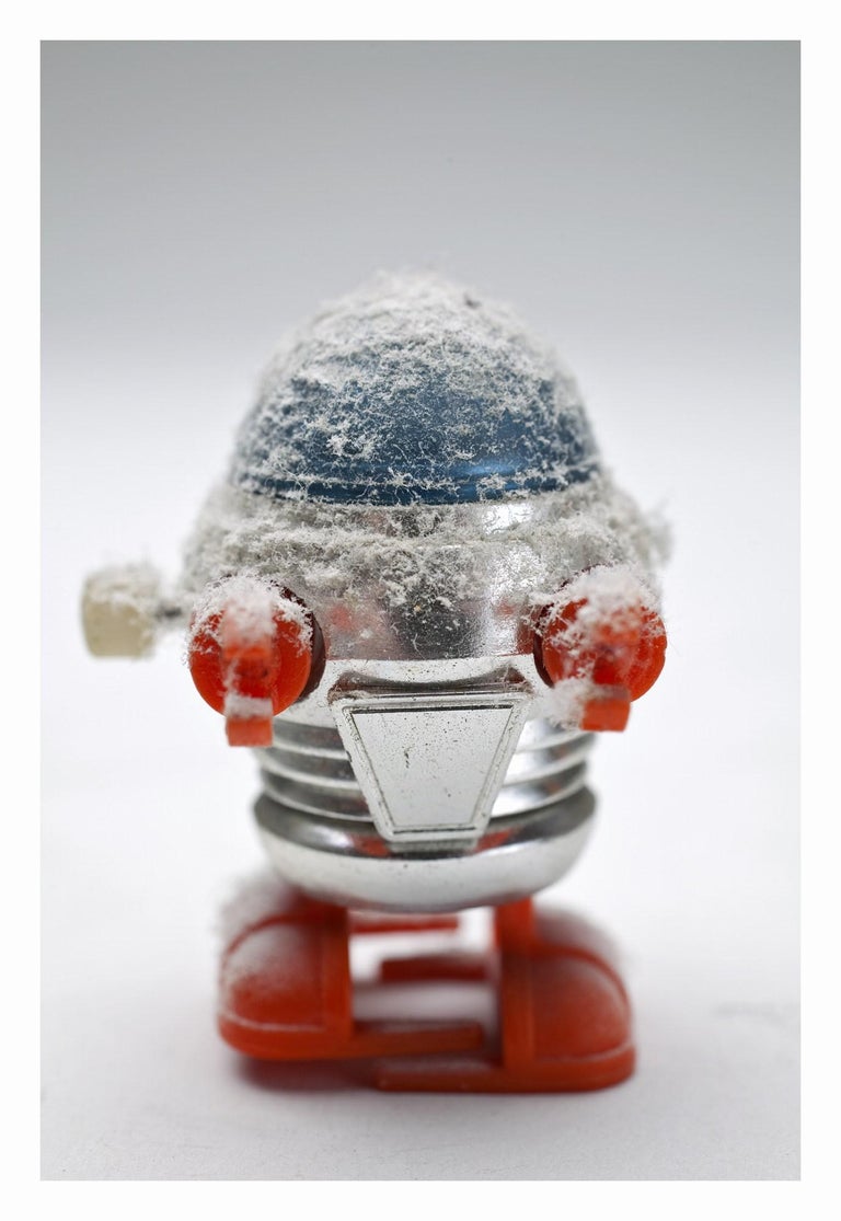 Christian Rothmann - Untitled (from ROBOTNICS Series) For Sale at 1stDibs