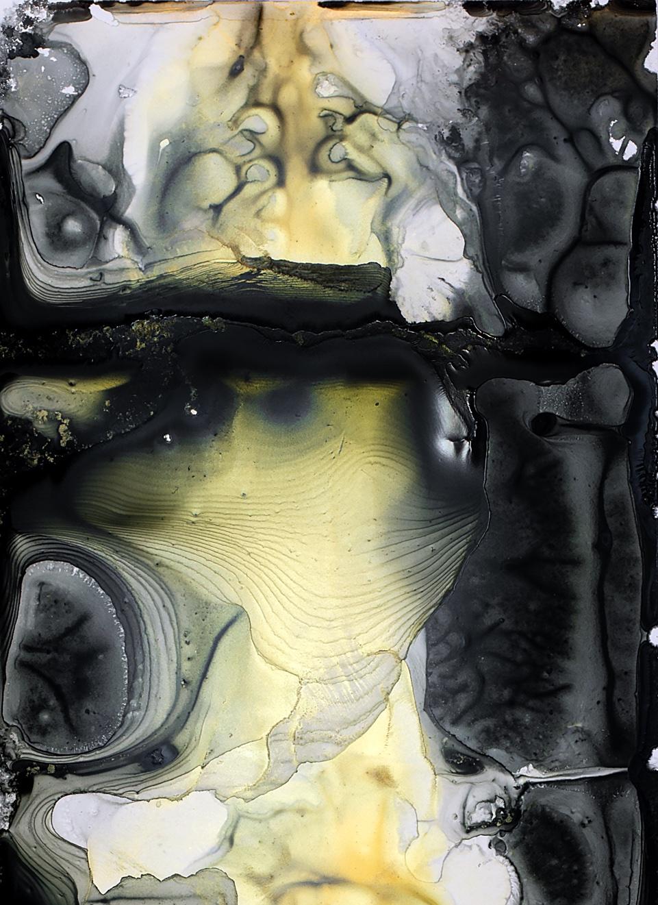 Ed Grant - Lamina 1 For Sale at 1stDibs