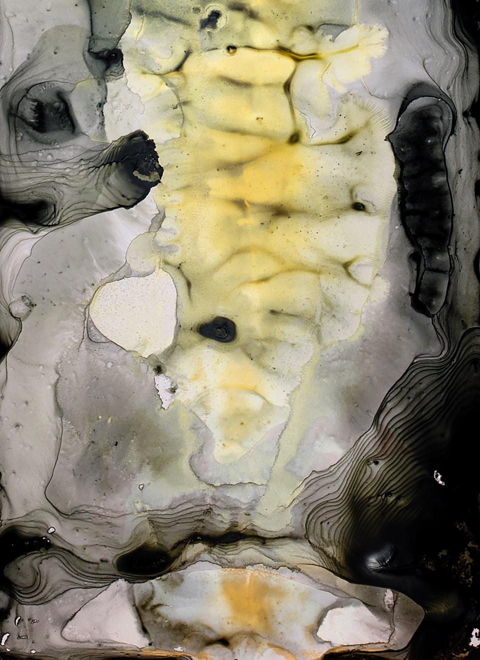 Ed Grant - Lamina 1 For Sale at 1stDibs