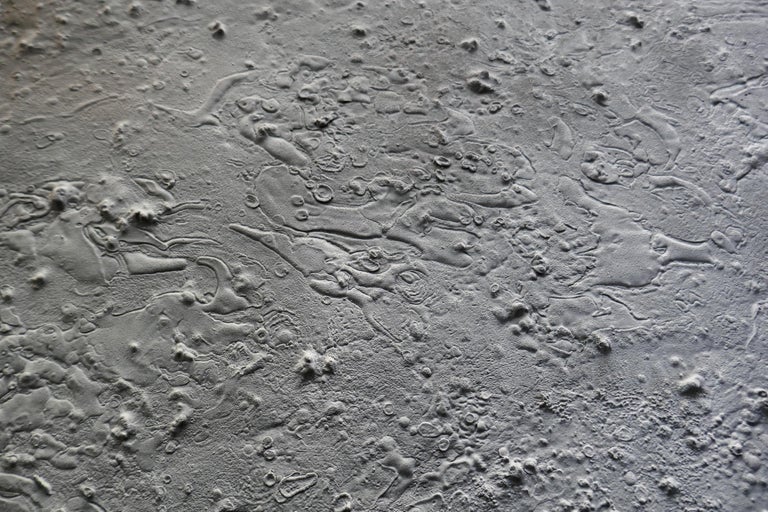 Joshua Browitt - Astral Rapture BY JOSHUA BROWITT, White Canvas, Mixed ...