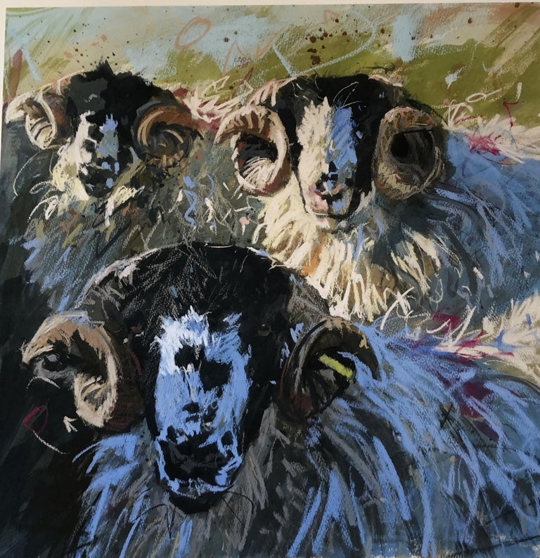 James Bartholomew - James Bartholomew, Rough Fell Tups, Limited Edition ...